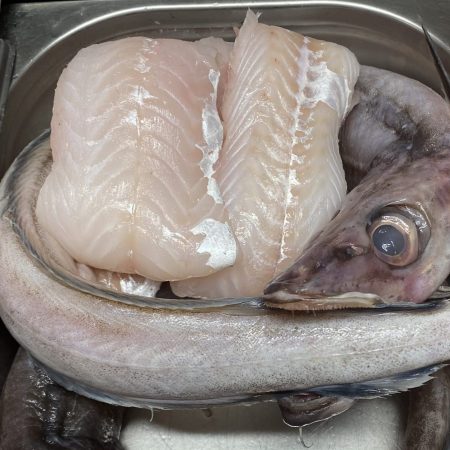 Blue ling fillets | Eat More Fish | Nationwide Delivery